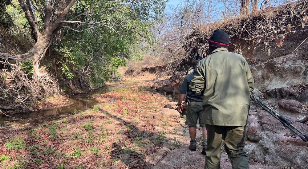 Robin Hurt Safaris - Lukwati North and Piti Game Reserves